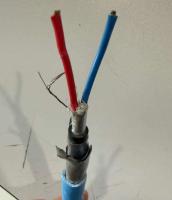 China LSZH Copper Conductor PVC Insulated Armored Screen Industrial Cable for Marine Mining Applications for sale