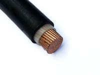China Single Core Copper Power Cable 1*240mm2 XLPE Insulated with PVC Jacket IP66 for Industrial Use for sale