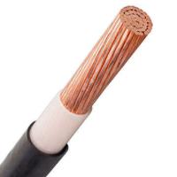 China Single Core Copper Power Cable 1*240mm2 XLPE Insulated with PVC Jacket IP66 for Industrial Use for sale