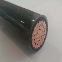 China Single Core Copper Power Cable 1*240mm2 XLPE Insulated with PVC Jacket IP66 for Industrial Use for sale