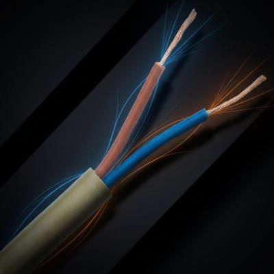 China VGV Rigid Copper Cable 2*2.5mm2 & 2*1.5mm2 PVC Insulated IP65 Rated for Power Station & Industrial Use for sale
