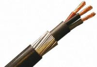 China SWA Armored Underground XLPE Cable 4*6mm2 IP65 Rated with LSZH Jacket for Low Voltage Power Transmission for sale