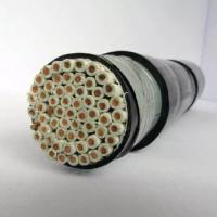 China CABLE HFG DE U1000 RVFV/HFG Copper Conductor XLPE Insulated Galvanized Double Steel Tape Armored PVC Jacket 1000V for sale