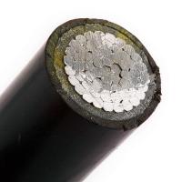 China TTU-AL 600V 2KV Aluminum Conductor with PE Insulated and PVC Sheath ICEA S-95-658 NEMA WC 70 90C for sale