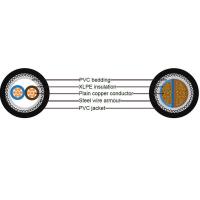 China 2 Core 1.5mm2 2.5mm2 4mm2 6mm2 SWA Armoured Cable Copper Conductor PVC Insulation & Jacket Black 600/1000V for sale