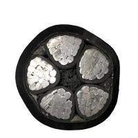 China 5 Core XLPE Insulated Aluminum Power Cable 0.6/1kV with PVC Jacket for Indoor and Outdoor Use for sale