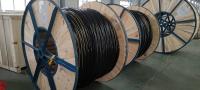 China XLP-DRS 90 Degree, 600V Hard Aluminum Conductor and XLP Insulated Underground Distribution Cable 2X1/0+1X2AWG for sale