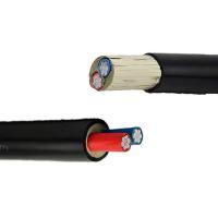 China DC Power Cable 2*16mm2 10mm 2 Core Single Phase Aluminum Service Electrical Cables for House Wiring for sale