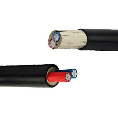 China DC Power Cable 2*16mm2 10mm 2 Core Single Phase Aluminum Service Electrical Cables for House Wiring for sale