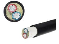 China DC Power Cable 2*16mm2 10mm 2 Core Single Phase Aluminum Service Electrical Cables for House Wiring for sale