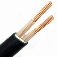 China YJV R2V RO2V Two Cores Stranded 2x4mm2 2x10mm2 2x16mm2 2x25mm2 Copper Conductor XLPE Insulation Underground Power Cable for sale