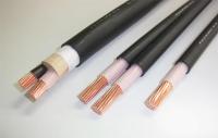 China YJV R2V RO2V Two Cores Stranded 2x4mm2 2x10mm2 2x16mm2 2x25mm2 Copper Conductor XLPE Insulation Underground Power Cable for sale