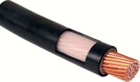 China Single Core 95 120 150 185 240mm2 U-1000 AR2V YJLV NA2XY AL/XLPE/PVC Aluminium Power Cables for sale