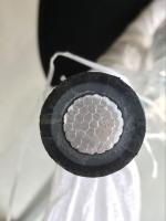China 15kv Aluminum Shield Tree Cable 4/0AWG 7 Stranded XLPE Insulated HDPE Sheathed Overhead for sale