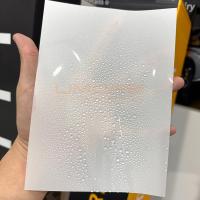China Hydrophilic High Gloss TPU Car Body Film Non Yellowing Clear TPU Paint Protection Film for sale