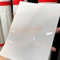 China Car TPU PPF Film Roll Car Paint Protection Film Self Healing Coating for sale