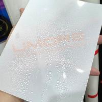 China Customized 100% TPU PPF Film 1.52 X 15m Vinyl Wrap Car Paint Protection Film for sale