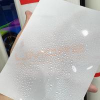 China 6.5mil TPU PPF Film Anti Scratch Anti Yellowing Heat Self Healing Automotive Paint Film for sale