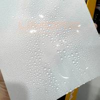 China Super Hydrophobic Instant PPF Paint Protection Film Clear Self Healing TPU for sale
