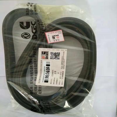 China 3911620 3288475 6CT8.3 Diesel Engine Parts 8Pk Diesel Engine part Cooling Fan Belt for sale