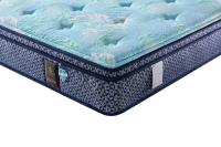 China Individually Wrapped Europe Top Pocket Spring Mattress With Latex Violet Rebound Foam for sale