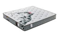 China Natural Breathable Comfort Bonnell Coil Spring Mattress Eco Coir Orthopedic Spine Support for sale