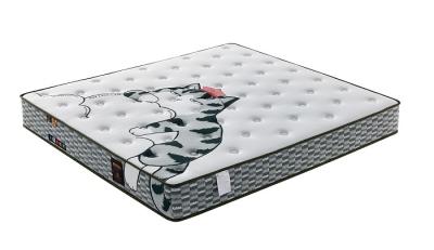 China Natural Breathable Comfort Bonnell Coil Spring Mattress Eco Coir Orthopedic Spine Support for sale