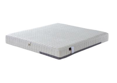 China Premium Removable Mattress Encased Coils Zero Motion Transfer  Washable for sale
