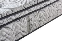 China Latex  Violet HR Foam Pocket Spring Mattress Premium Coil for All Night Body Support for sale