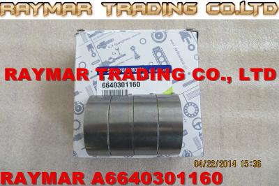 China SSANGYONG connecting rod bearing kit 6640301160, A6640301160 for sale