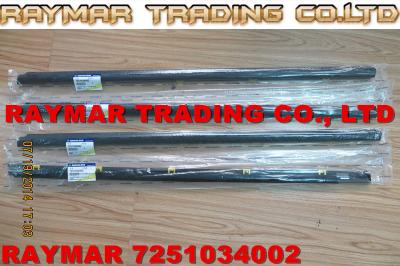 China SSANGYONG W/STRIP ASSY F/DR BELT O/S-LH 7251034001, 7251034002 for sale