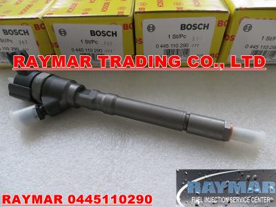 China Bosch common rail injector 0445110290, 0445110126 for HYUNDAI 33800-27900X,Y,Z for sale
