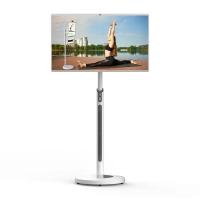China 21.5 Inch 5h Built-In Battery Wifi Standby Me TV Touch Screen Portable Smart TV For Gym Gaming Live Room for sale