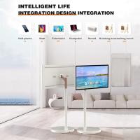 China Video Player Floor Standing Smart Screen Tv Stand By Me Tv 27 32 Inch Portable With Battery for sale