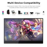 China OEM / ODM 15.6' Portable Monitor With Touch Screen Customization Wholesale For Laptop for sale