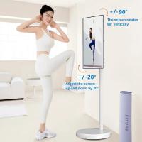 China 32 Inch HD Stanbyme Monitor Portable Smart Screen TV With Wifi Battery for sale