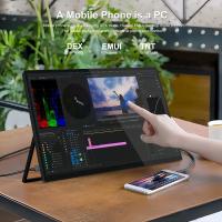 China 18.5 Portable Gaming Monitor with Full HD IPS HDR Panel 300nit Display 72% NTSC 16:9 Aspect Ratio for sale