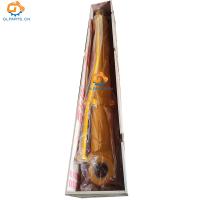 China 31N7-50132 31N7-50131 31Y1-19871 Hydraulic Arm Cylinder for Hyundai R250LC-7 Excavator for sale