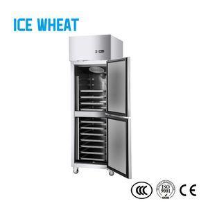China Air-Cooled Vertical Frozen Two-Door Commercial Refrigerator for sale