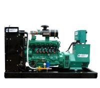 China Nature Gas Biogas LPG Gas Generator for sale