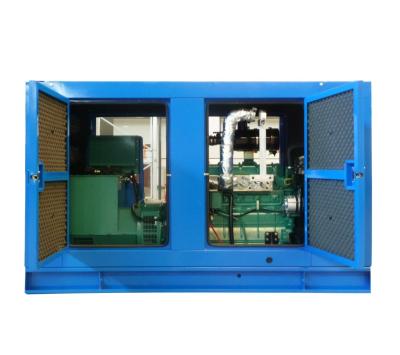 China 10-600kw Silent natural gas generator 220v lpg/biogas as fuel for sale