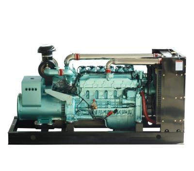 China Factory directly sale CNG natural gas generator 30KW for sale