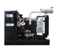 China 30KW Biogas Generator for Sale Small Biogas Generator for sale