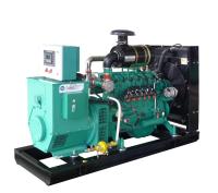 China Biogas electric generator biogas plant 200kw 300kw for sale
