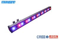 China Park 230VAC LED Wall Washer Lights Waterproof with IP65 Meanwell Driver for sale