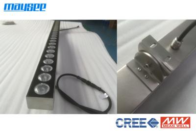 China Warm White 3000k Exterior LED Wall Washer Lights LED Linear Lights With SS Housing for sale