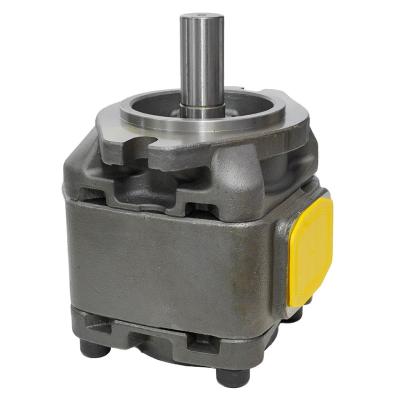 China HG0 HG1 HG2 HG Series Internal Single Gear Pump High Pressure Gear Pump for sale