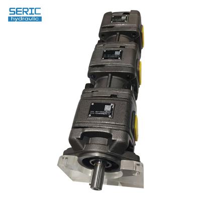 China HG Series HG11 Hydraulic Double Gear Pump with High Quality Construction for sale