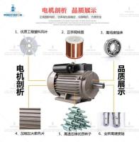 China Versatile Commercial Coffee Grinder Professional 55x26x45cm 40kgs for sale