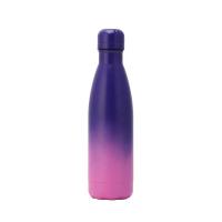China Matte Cola Shaped Water Bottle Stainless Steel Frosted Portable Insulation Thermal for sale